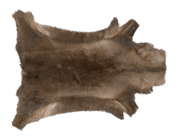 Reindeer Skin | Skin from Lapland by Carl Hansen & Søn – TRDST